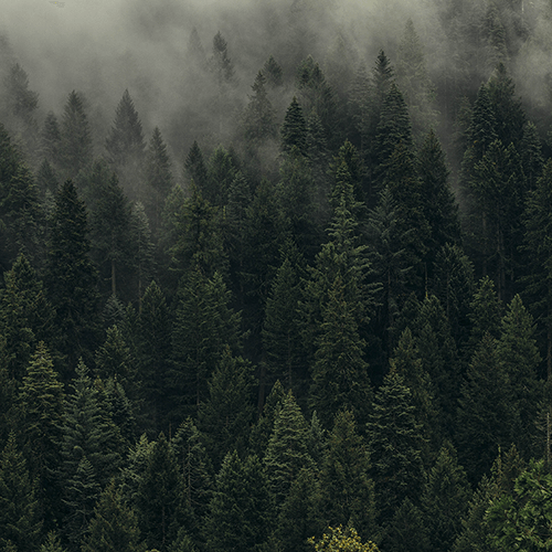 Mačety – mačety do lesa i army mačety | Balistas.cz